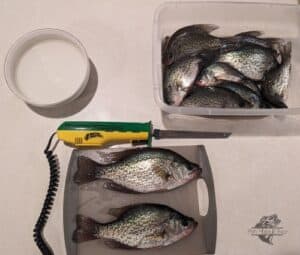 Delicious Delights: Are Crappie Good To Eat?