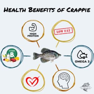 Delicious Delights: Are Crappie Good To Eat?